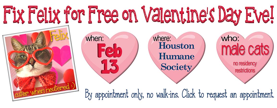 Houston Humane Society | Pet Rescue & Pet Adoption | Houston, TX