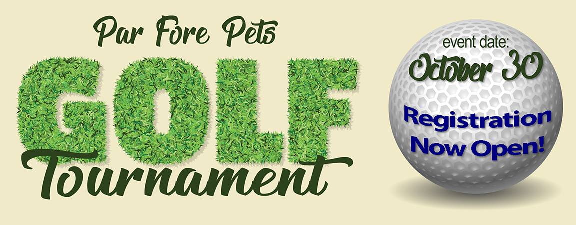 Houston Humane Society | Pet Rescue & Pet Adoption | Houston, TX