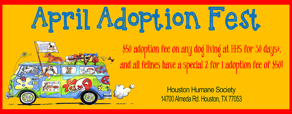 Houston Humane Society | Pet Rescue & Pet Adoption | Houston, TX