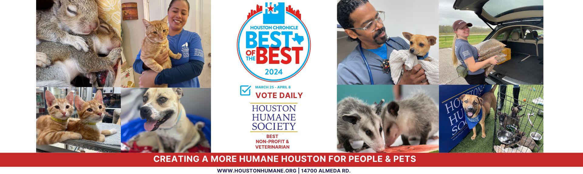 Houston Humane Society | Animal & Dog Shelter | Houston, TX