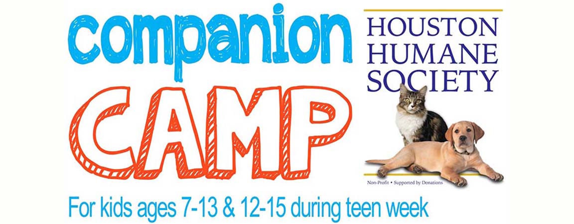 Houston Humane Society | Pet Rescue & Pet Adoption | Houston, TX