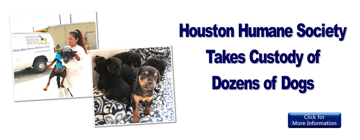 Houston Humane Society | Pet Rescue & Pet Adoption | Houston, TX