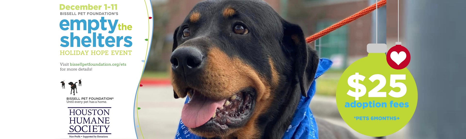 Can You Adopt A Dog From The Humane Society