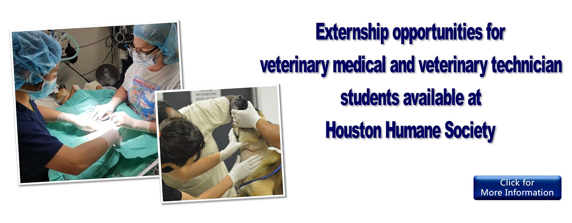 Houston Humane Society | Pet Rescue & Pet Adoption | Houston, TX