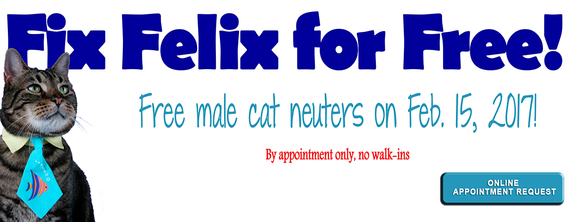 Houston Humane Society | Adopt a Dog, Adopt a Pet, Animal Shelter, Pet ...