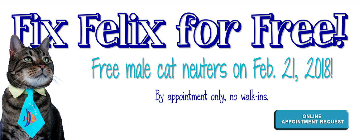 Houston Humane Society | Pet Rescue & Pet Adoption | Houston, TX