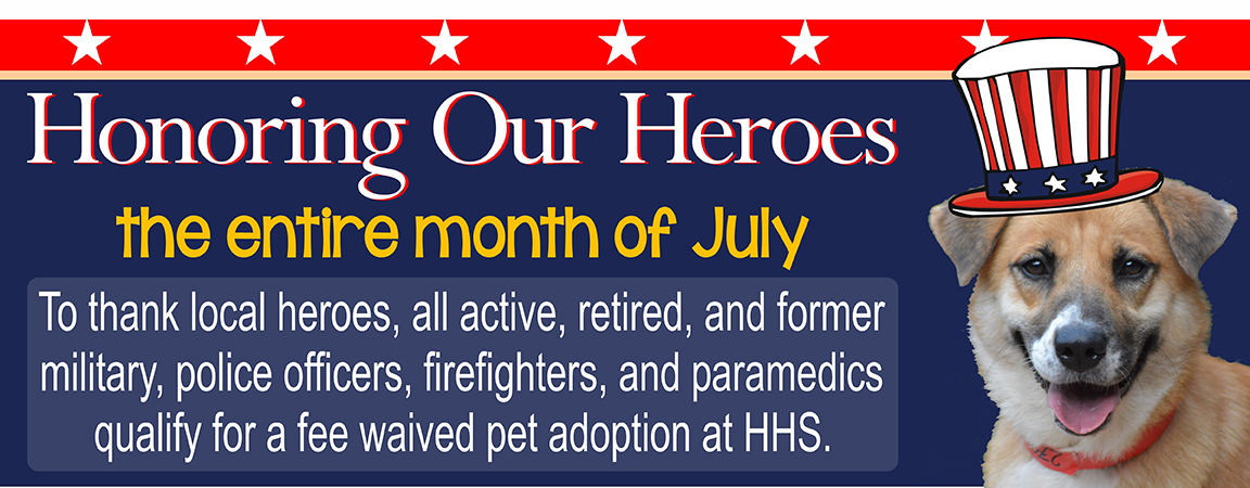 Houston Humane Society | Adopt a Dog, Adopt a Pet, Animal Shelter, Pet ...