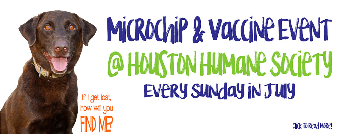 Houston Humane Society | Adopt a Dog, Adopt a Pet, Animal Shelter, Pet ...