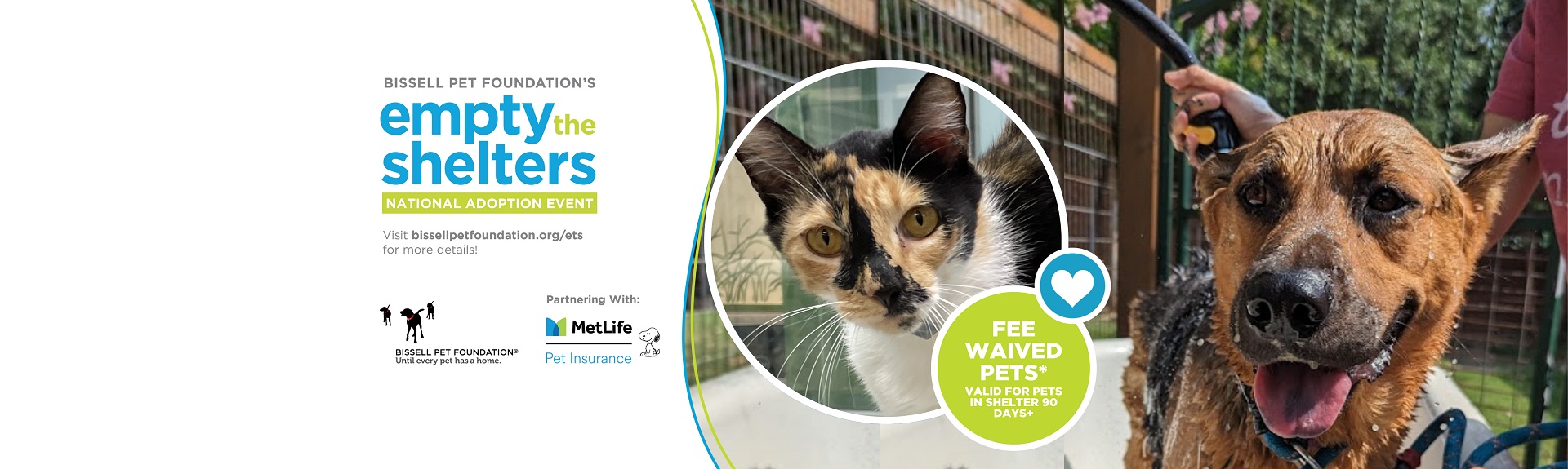 Houston Humane Society | Animal & Dog Shelter | Houston, TX