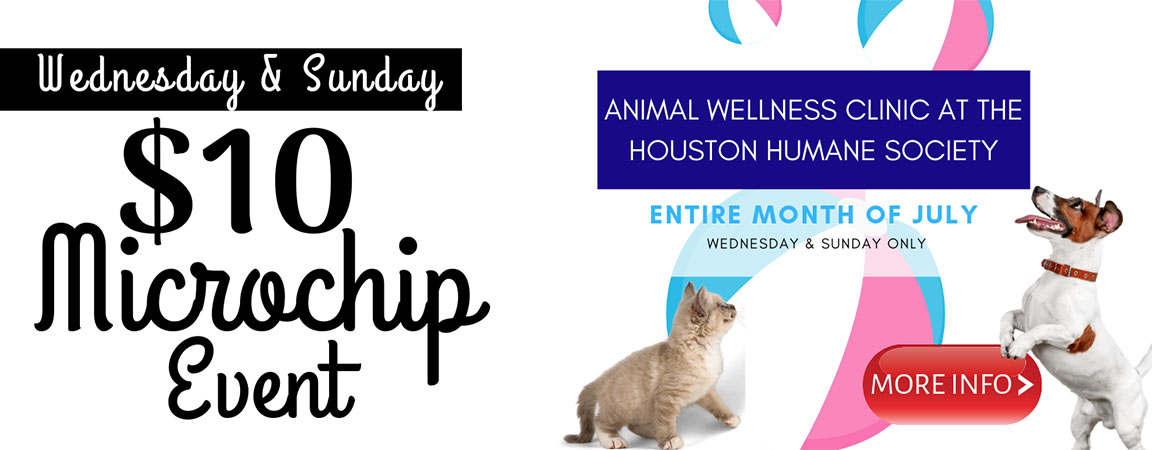 Houston Humane Society | Pet Rescue & Pet Adoption | Houston, TX