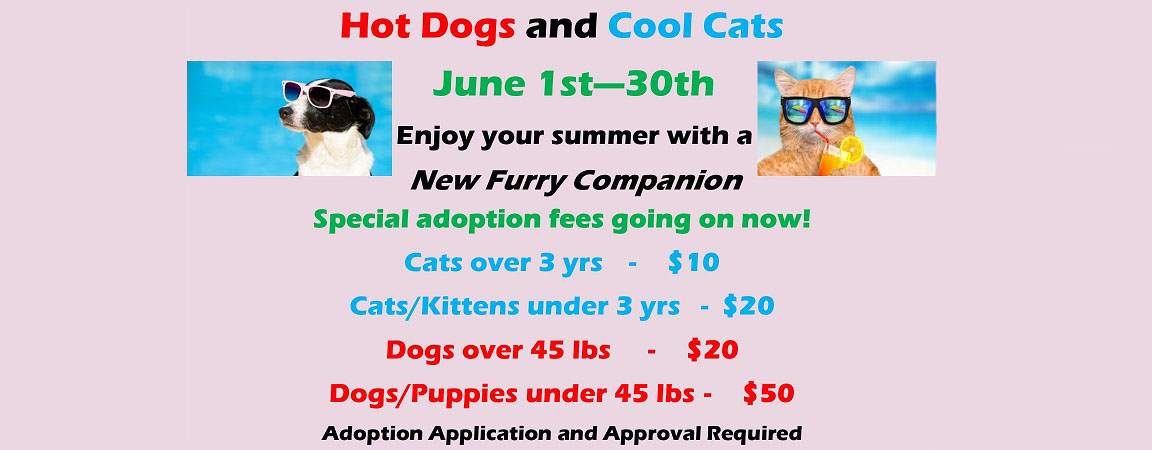 Houston Humane Society | Pet Rescue & Pet Adoption | Houston, TX