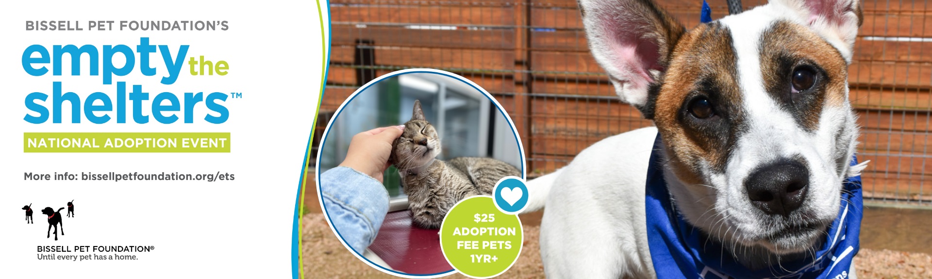 Houston Humane Society | Animal & Dog Shelter | Houston, TX
