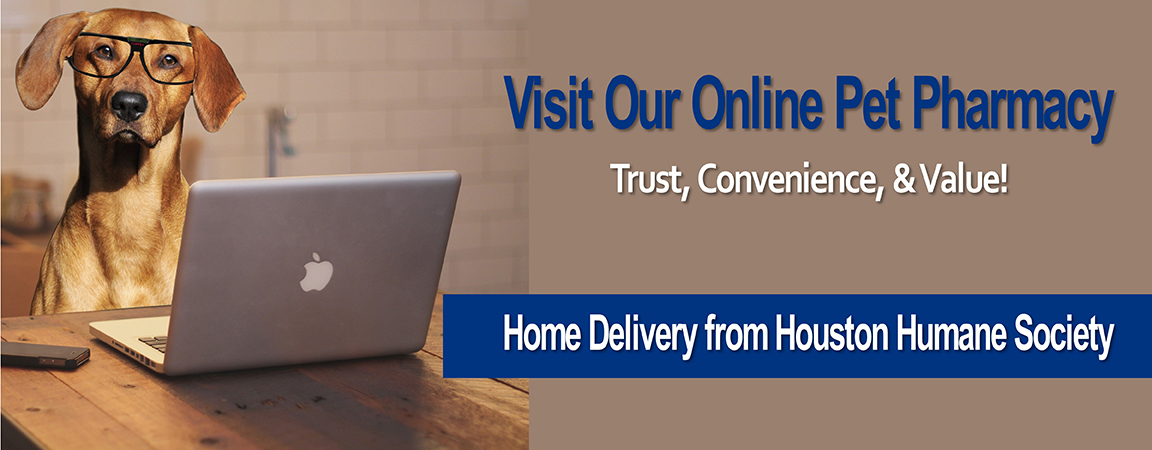 Houston Humane Society | Pet Rescue & Pet Adoption | Houston, TX