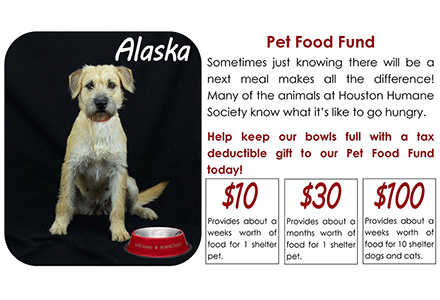 Designate Your Gift | Animal Shelter | Veterinary Clinic | Houston ...