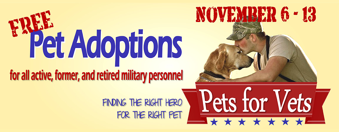 Houston Humane Society | Pet Rescue & Pet Adoption | Houston, TX