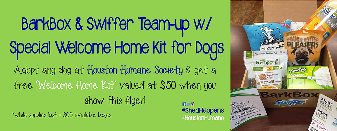 Houston Humane Society | Adopt a Dog, Adopt a Pet, Animal Shelter, Pet ...