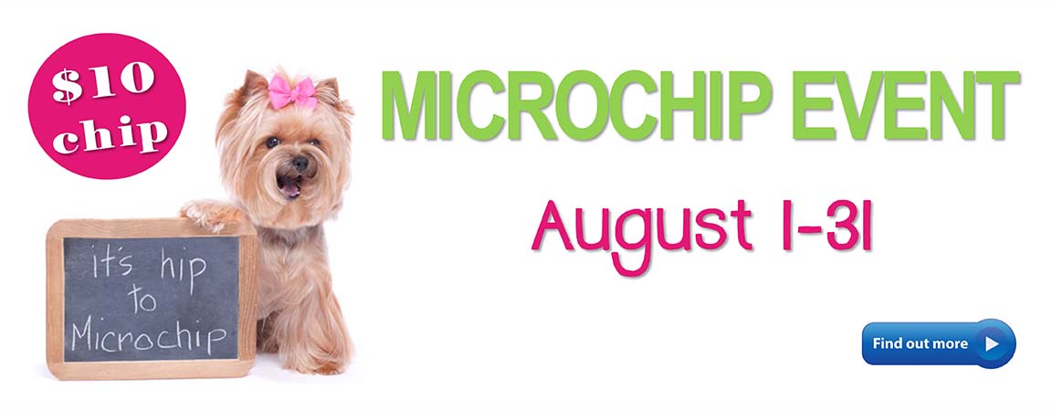 Houston Humane Society | Pet Rescue & Pet Adoption | Houston, TX