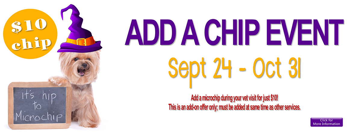 Houston Humane Society | Pet Rescue & Pet Adoption | Houston, TX