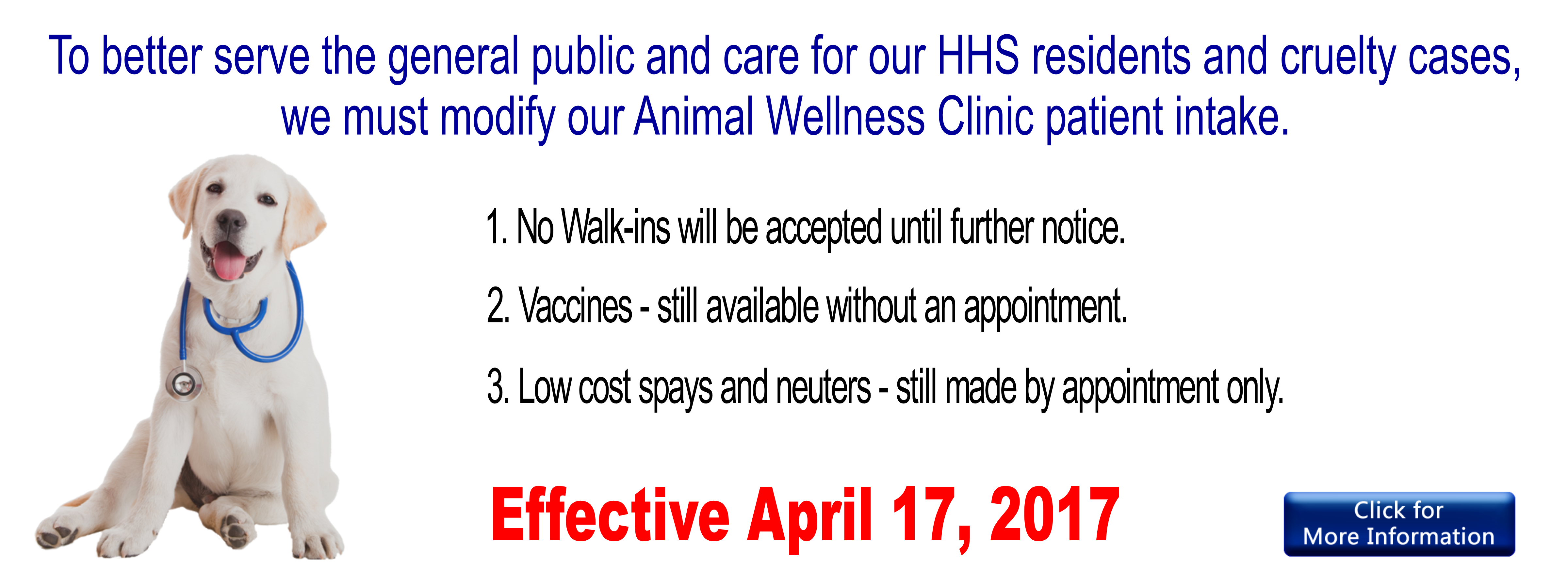 Houston Humane Society | Adopt a Dog, Adopt a Pet, Animal Shelter, Pet ...